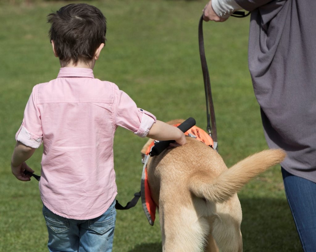Working with Guide Dogs WA - Autism Assistance Dog Program - Nexus ...
